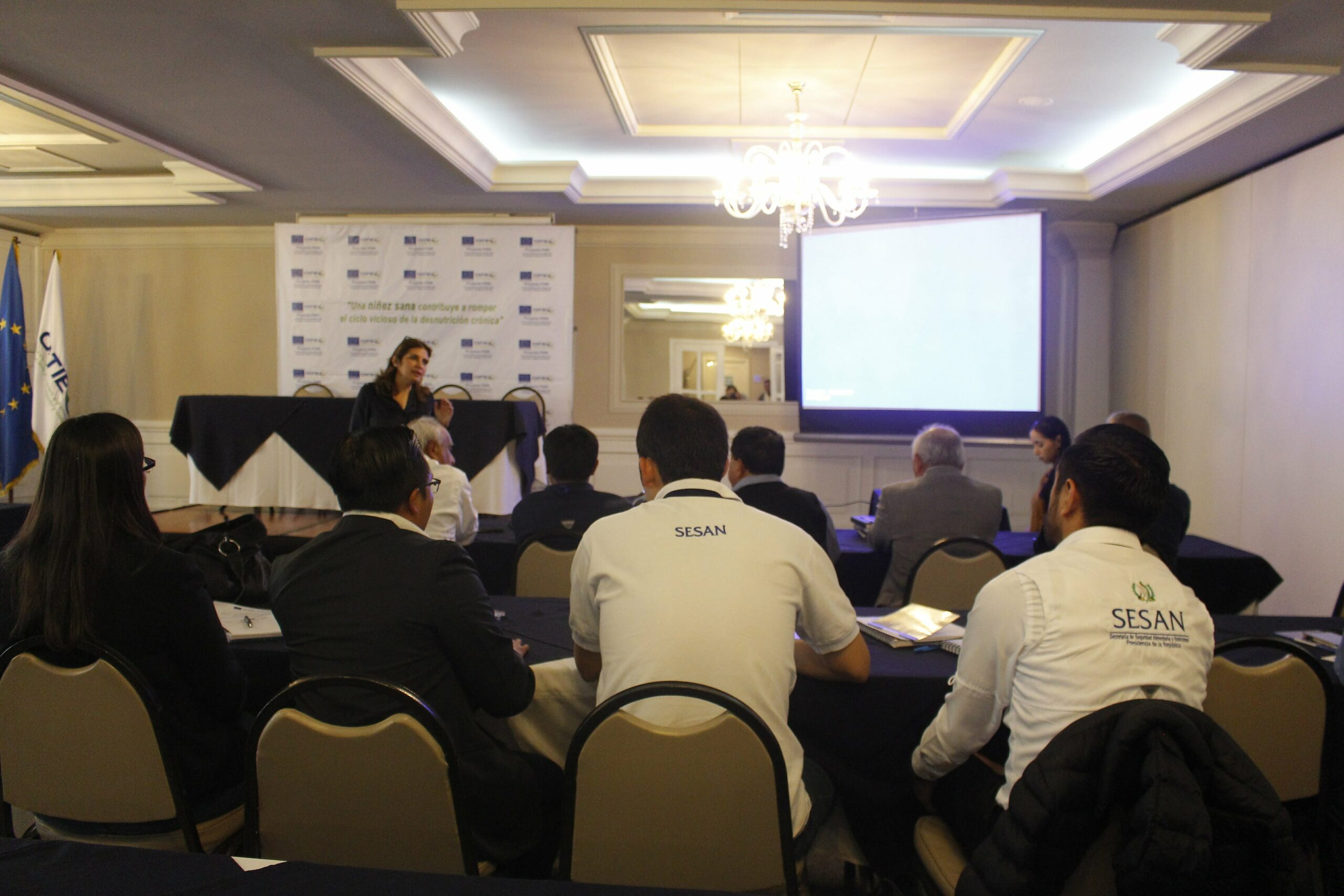 Personal de SESAN fortalece sus capacidades a través de cursos en línea ...