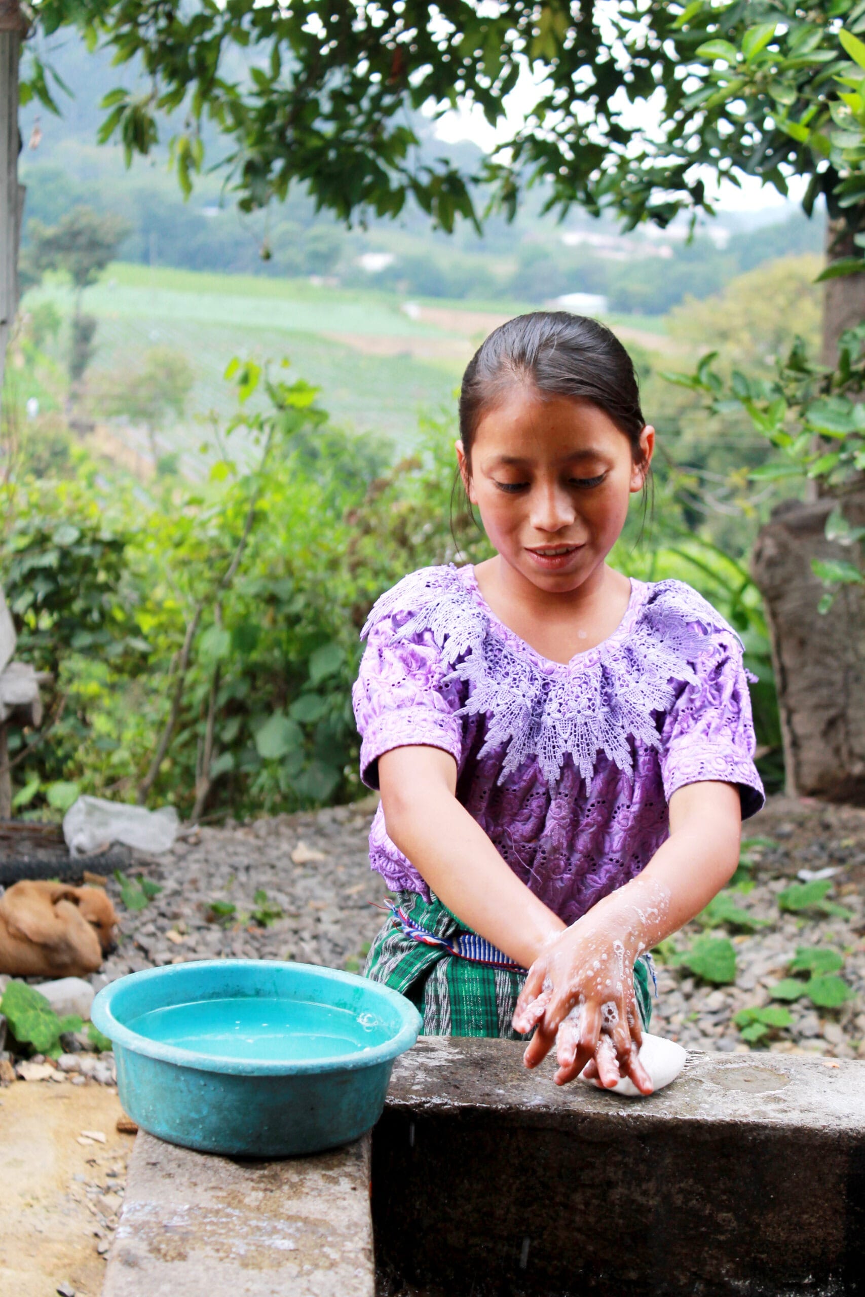 Los beneficios de un buen lavado de manos – SESAN Guatemala