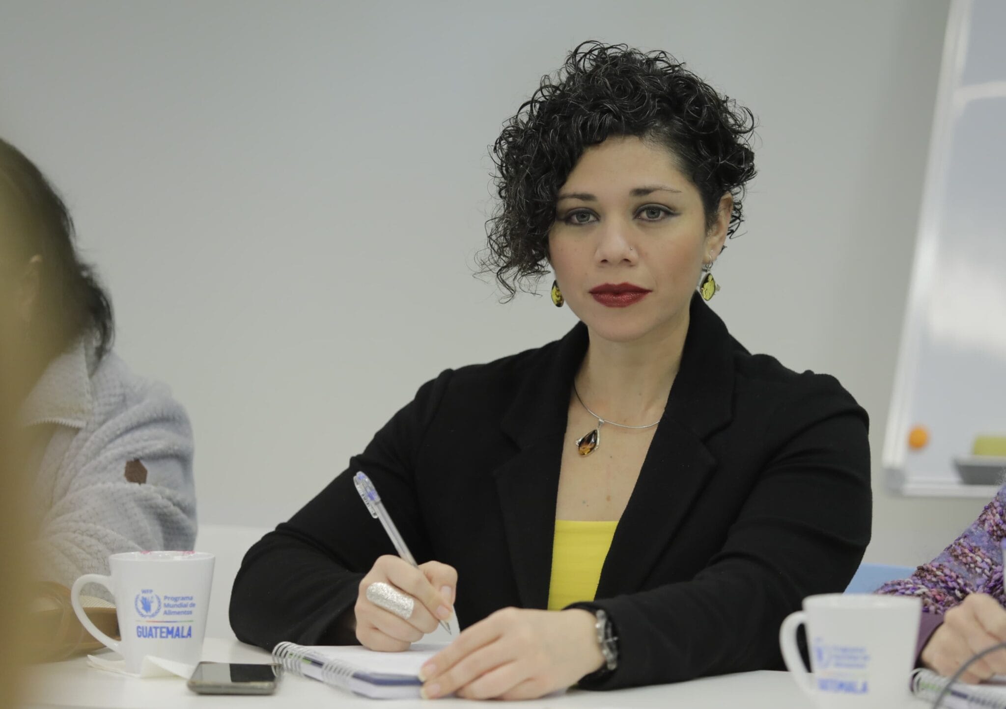 Autoridades de la SESAN se reúnen con G-13 para coordinar acciones de ...