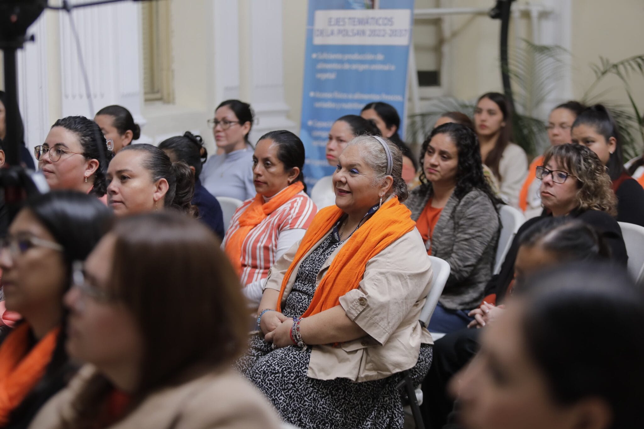 La SESAN reafirma su compromiso en la lucha contra la violencia hacia mujeres y niñas – SESAN ...