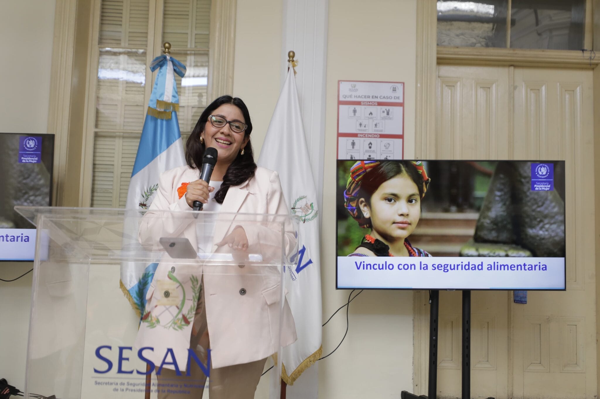 La SESAN reafirma su compromiso en la lucha contra la violencia hacia mujeres y niñas – SESAN ...